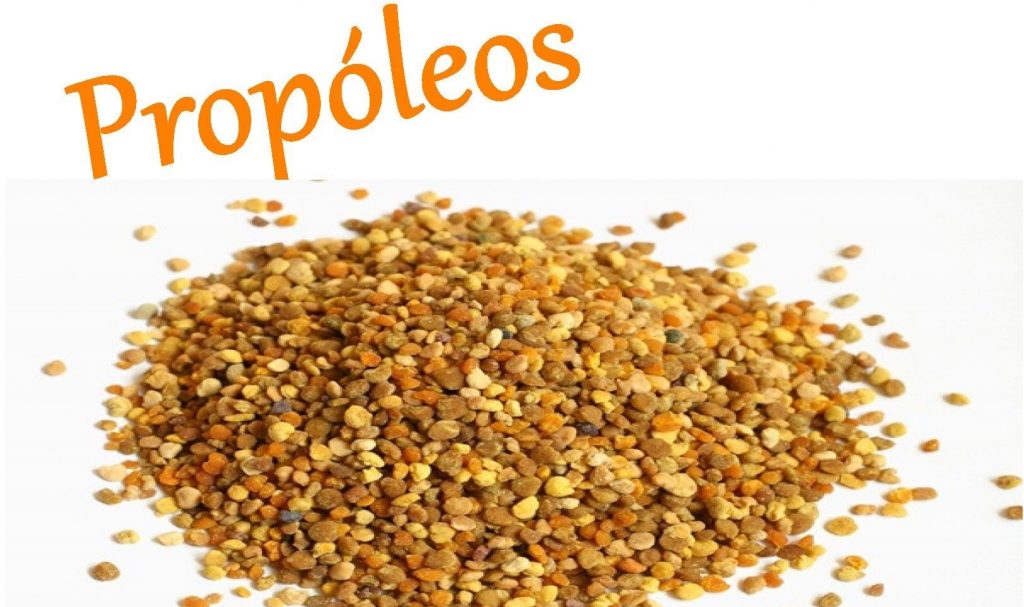 Propóleos – Recetario Cocina