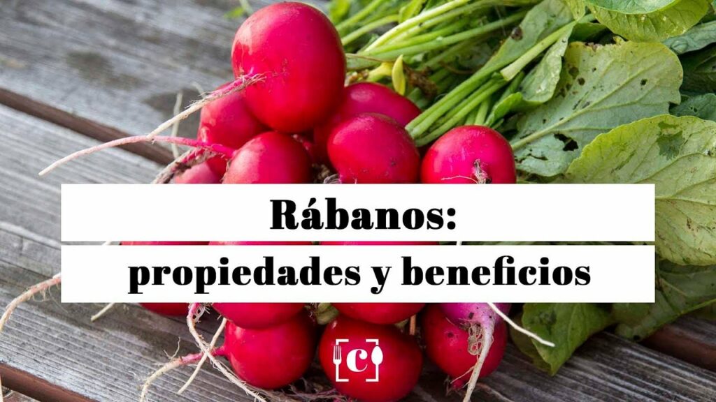 Rábano rojo, excelentes para adelgazar – Recetario Cocina